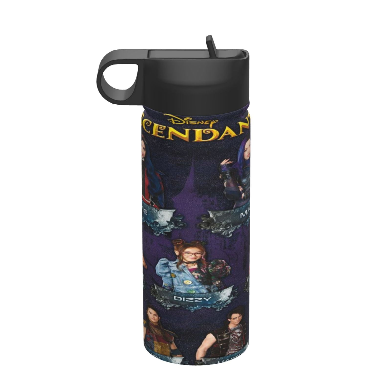 Descendants 18oz Insulated Water Bottle with Handle, Stainless Steel ...