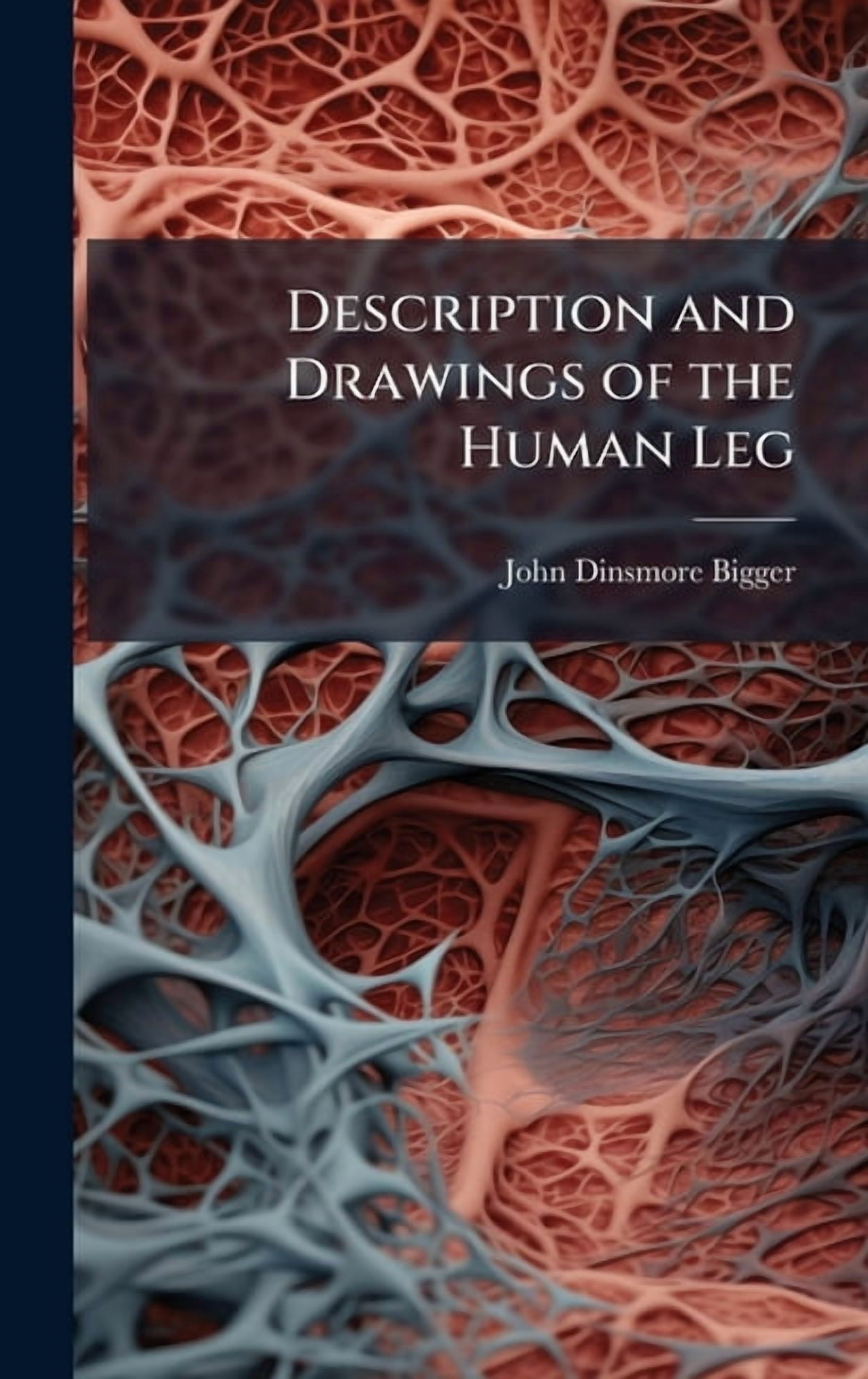 Description and Drawings of the Human Leg, (Hardcover) - Walmart.com