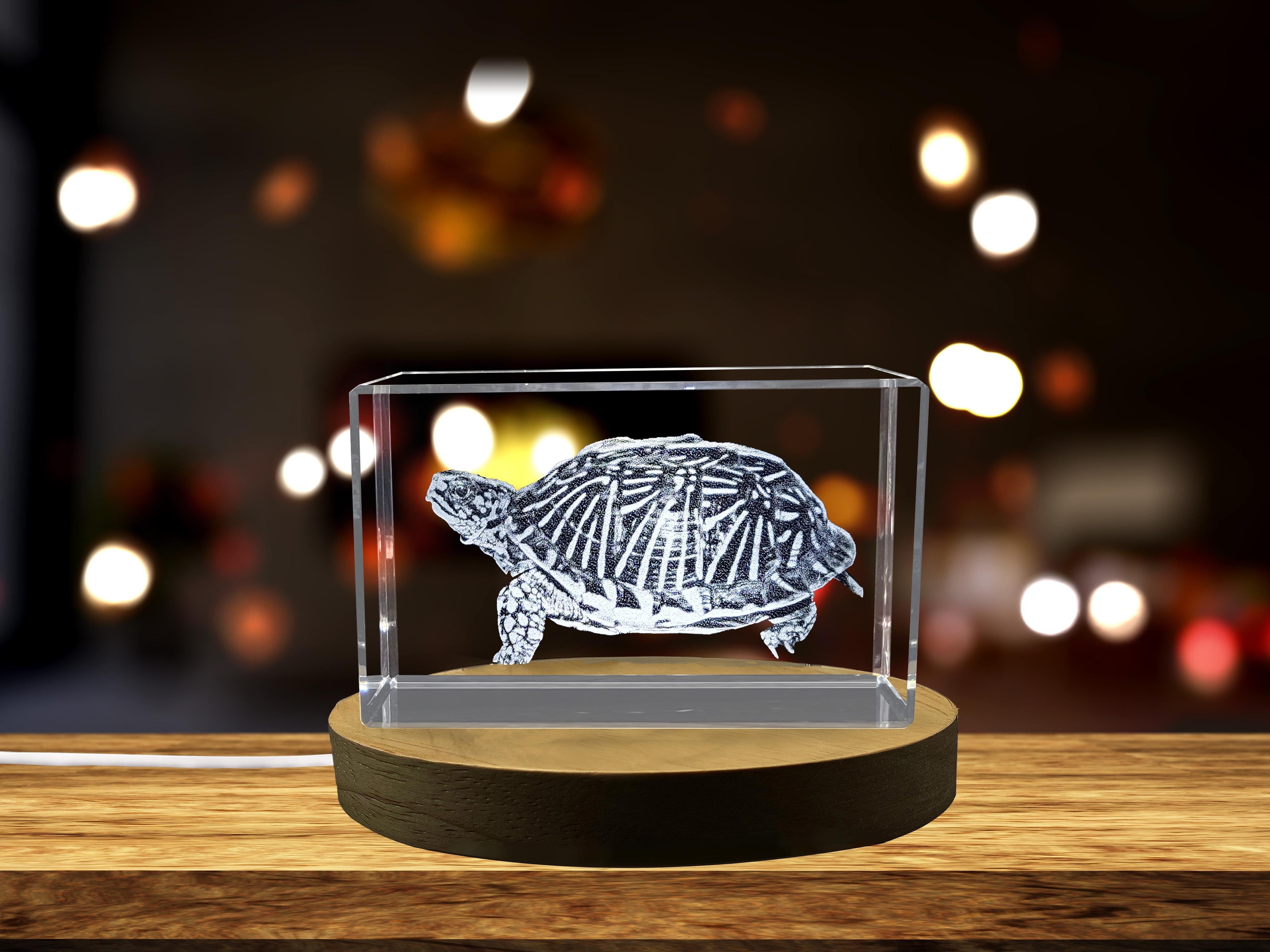 Desert Box Turtle Crystal Engraving - Beautifully Carved Reptile ...