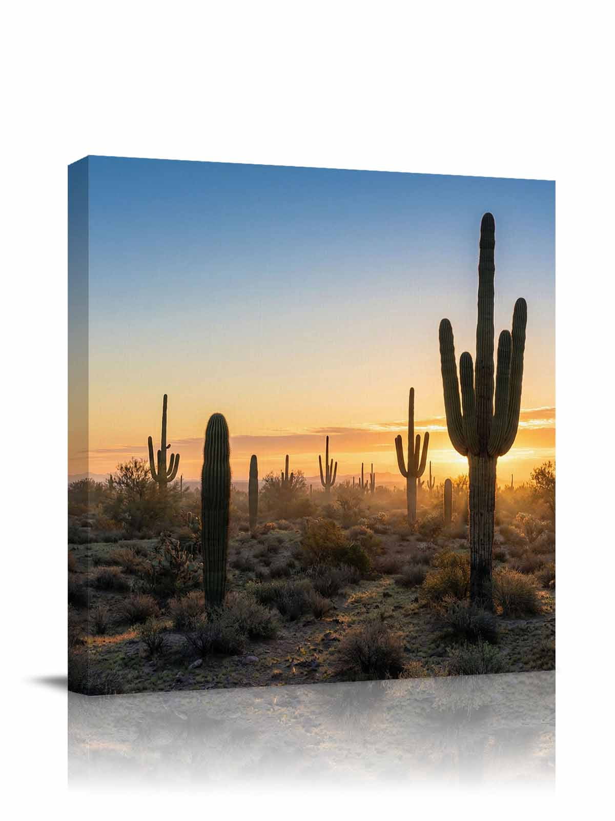 Desert Cactus Canvas Wall Art, Sunrise Plant Nature Landscape Modern ...
