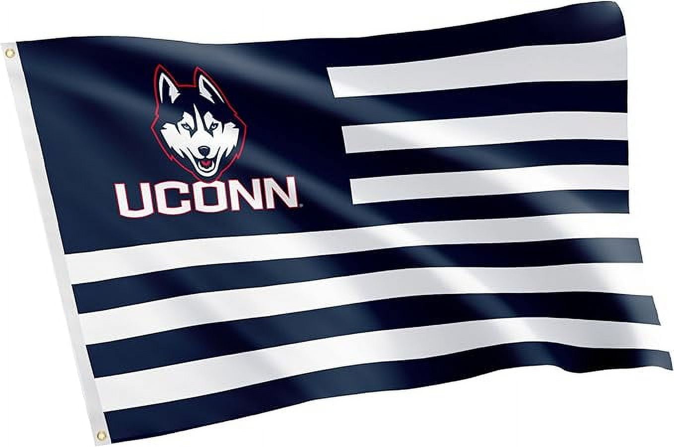 Desert Cactus University of Connecticut Flag UConn Huskies Banners 100% ...