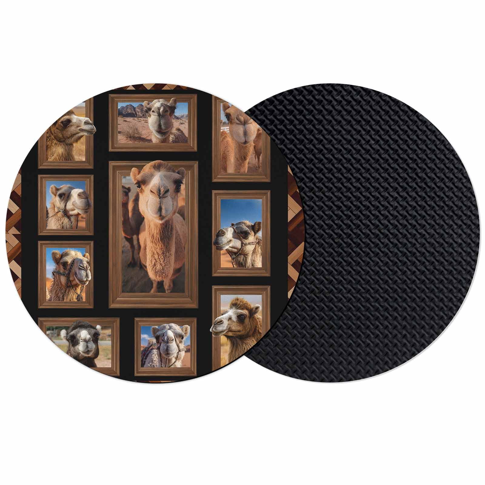 Desert Camels Coasters Set of 2, Absorbent Coasters for Drinks, Brown ...