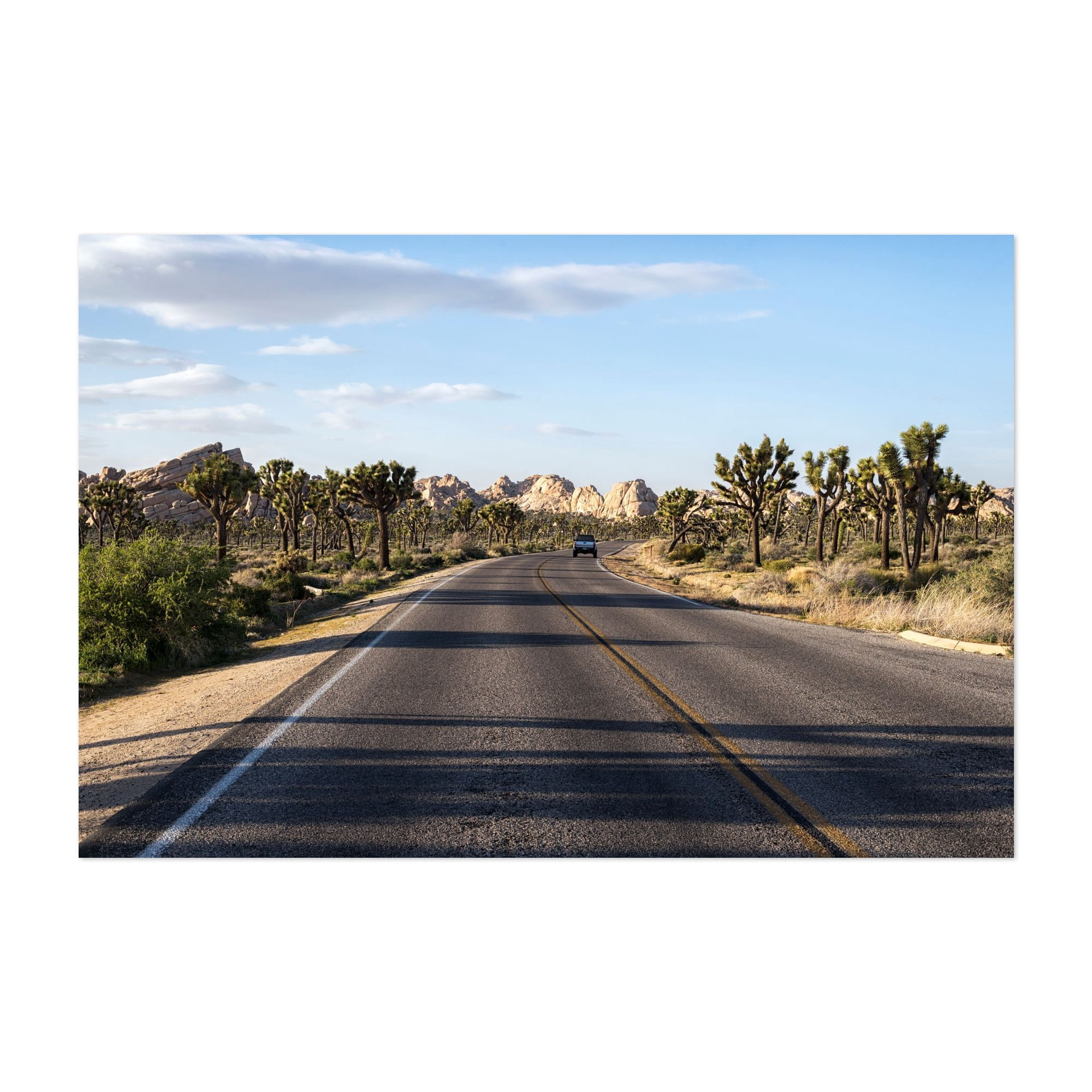 Desert Driveway - Photography Desert Landscape Nature Scenic Cactus ...