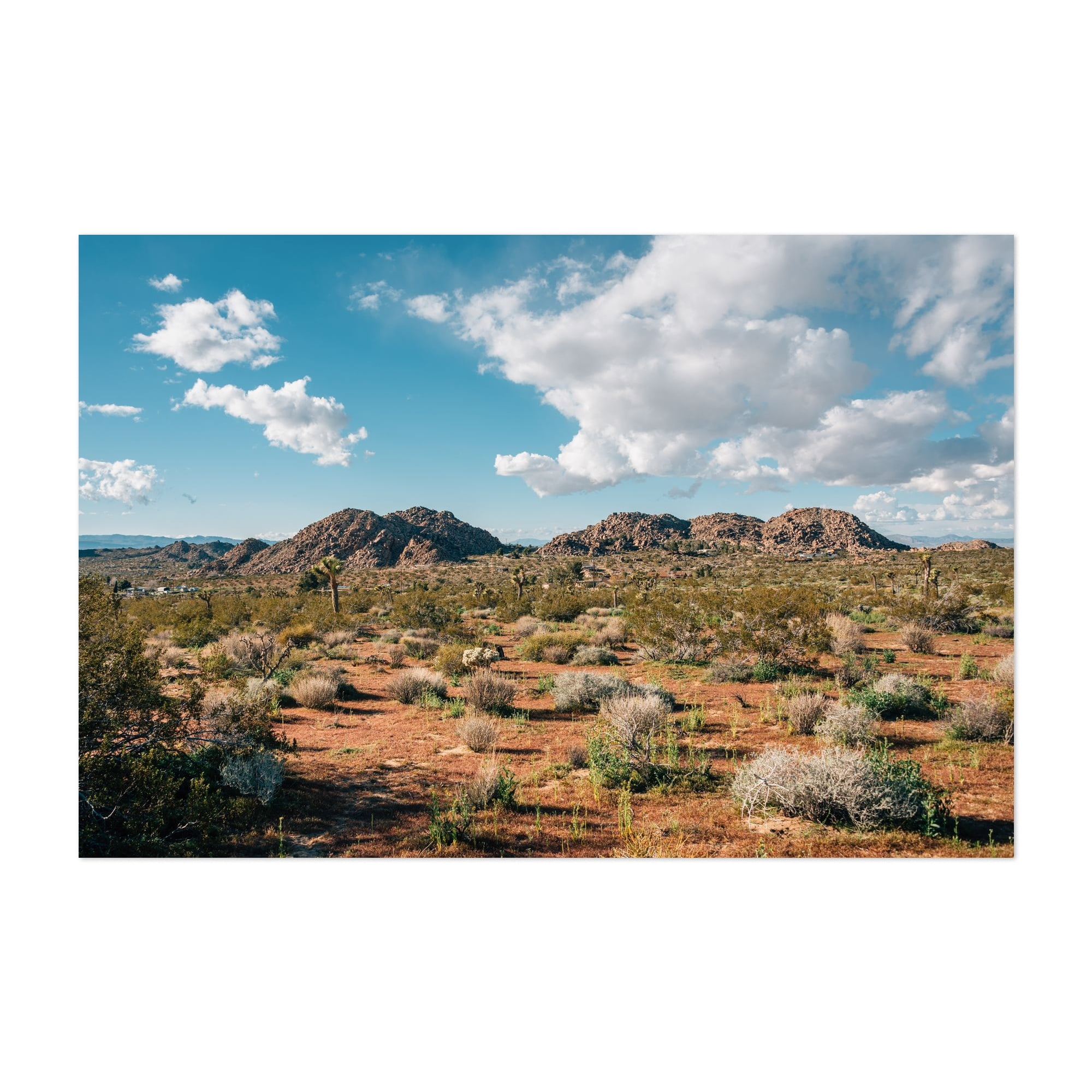 Desert Landscape, Joshua Tree 02 - Joshua Tree California Photography ...