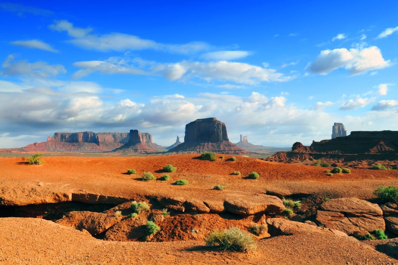 Desert Nature Landscape Background Mountain Saguaro Cactus Plants Girl ...