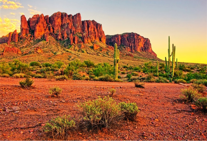 Desert Nature Landscape Background Mountain Saguaro Cactus Plants Girl ...