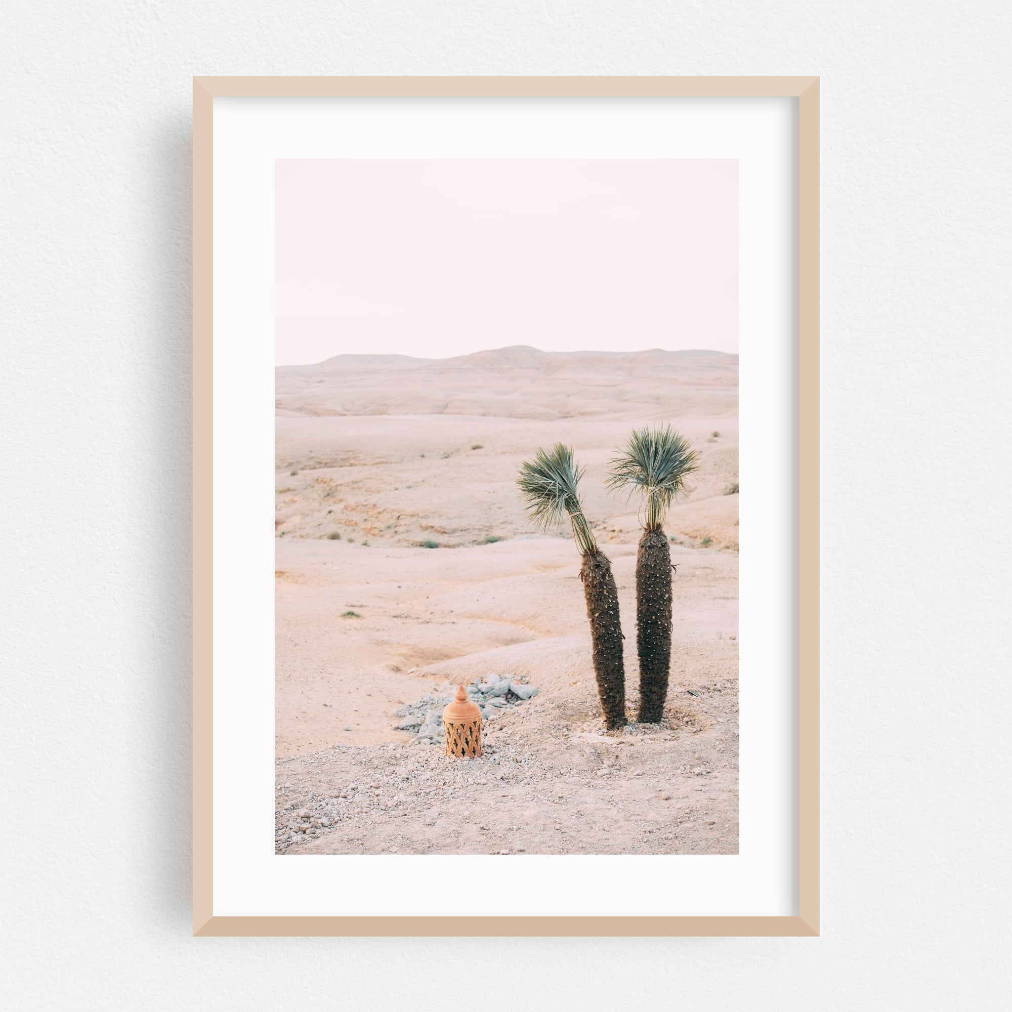 Desert Palms - Agafay Marrakesh-Safi Morocco Photography Desert Palm ...