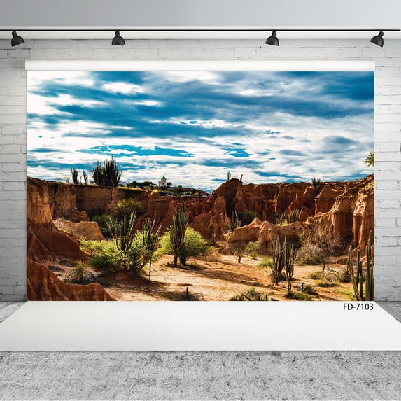 Desert Photography Backdrops Photobooth Children Baby Portrait Vinyl ...