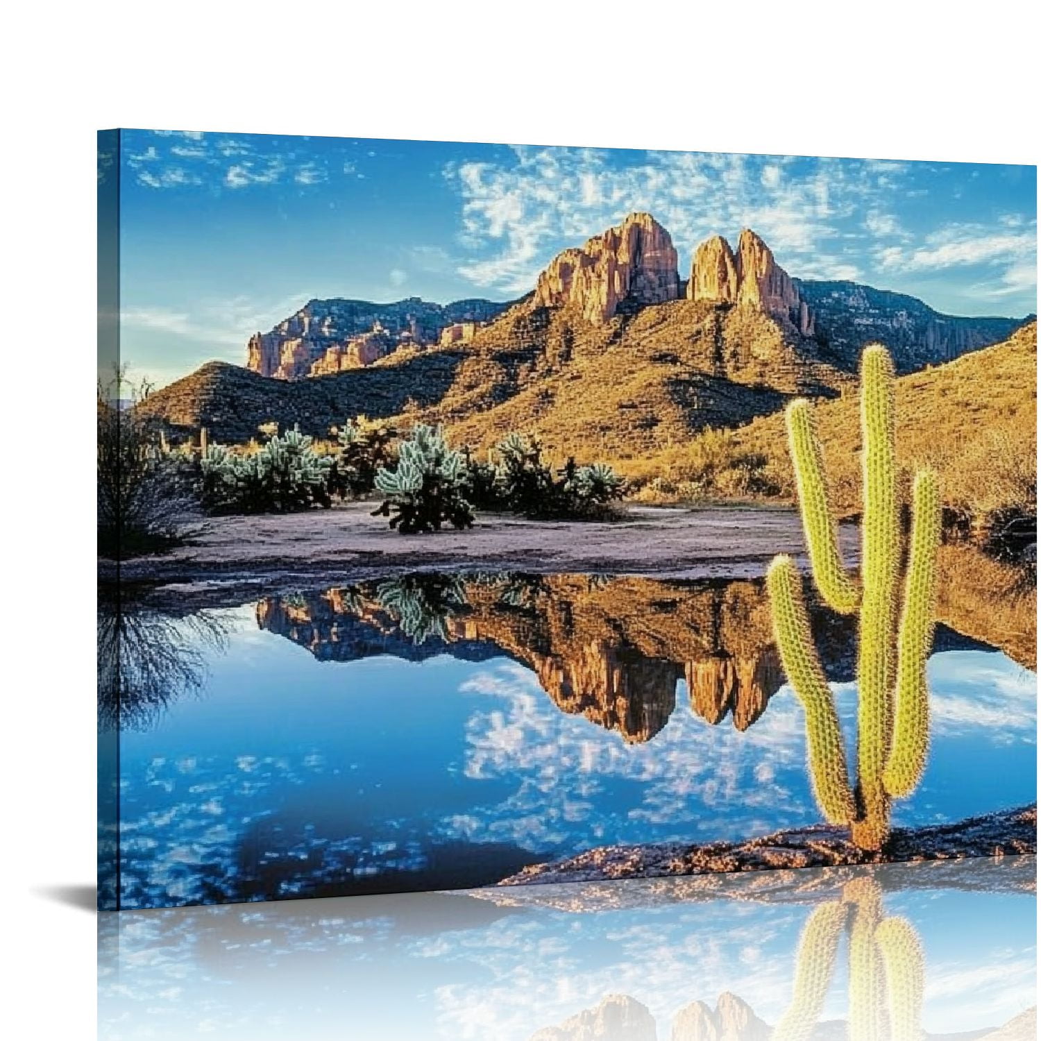 Desert Reflections Canvas Art Print - Cacti and Cliffs, , 20x16 ...