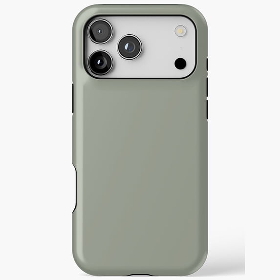 Desert Sage Grey Green Solid Tone Phone Case 11 through 17 Pro Max ...