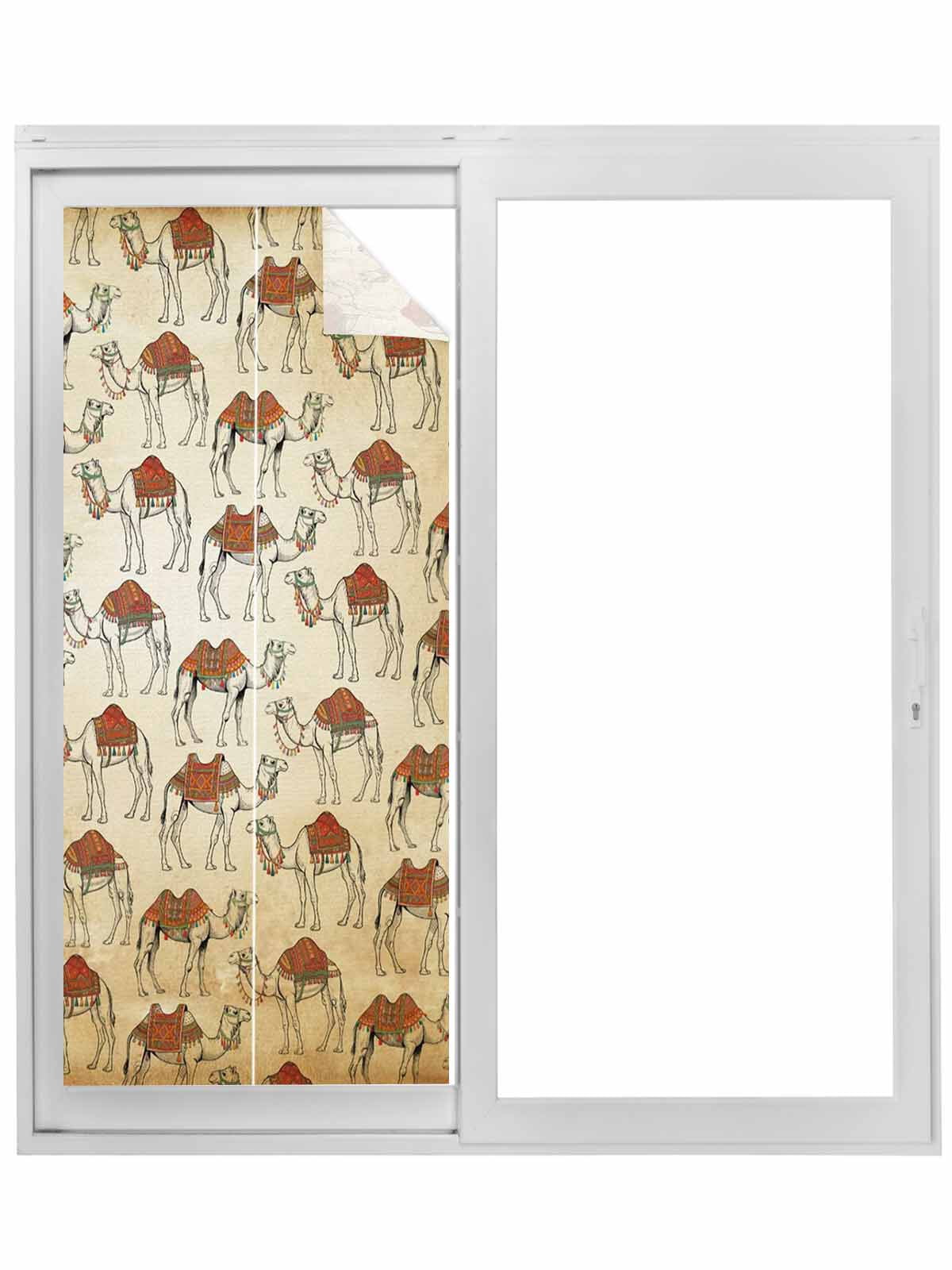 Desert Sand Camel Window Privacy Film, Summer Tropical Animals Vintage ...