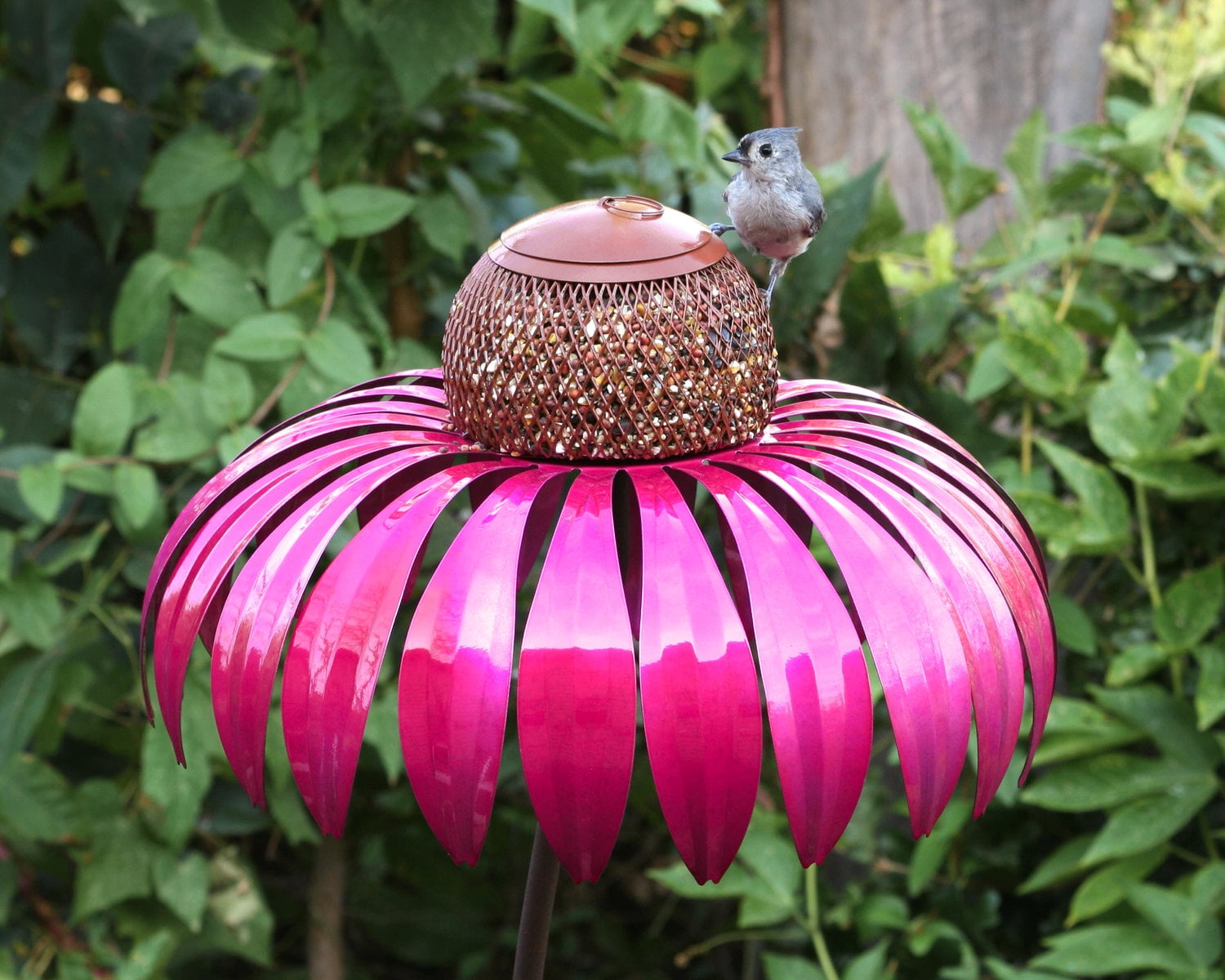 Desert Steel Coneflower Bird Feeder - Walmart.com