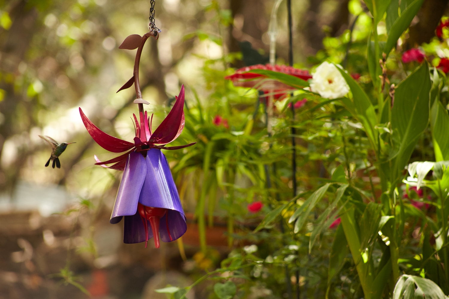 Desert Steel Fuchsia Hummingbird 8 oz. Steel Nectar Feeder 1 ports ...