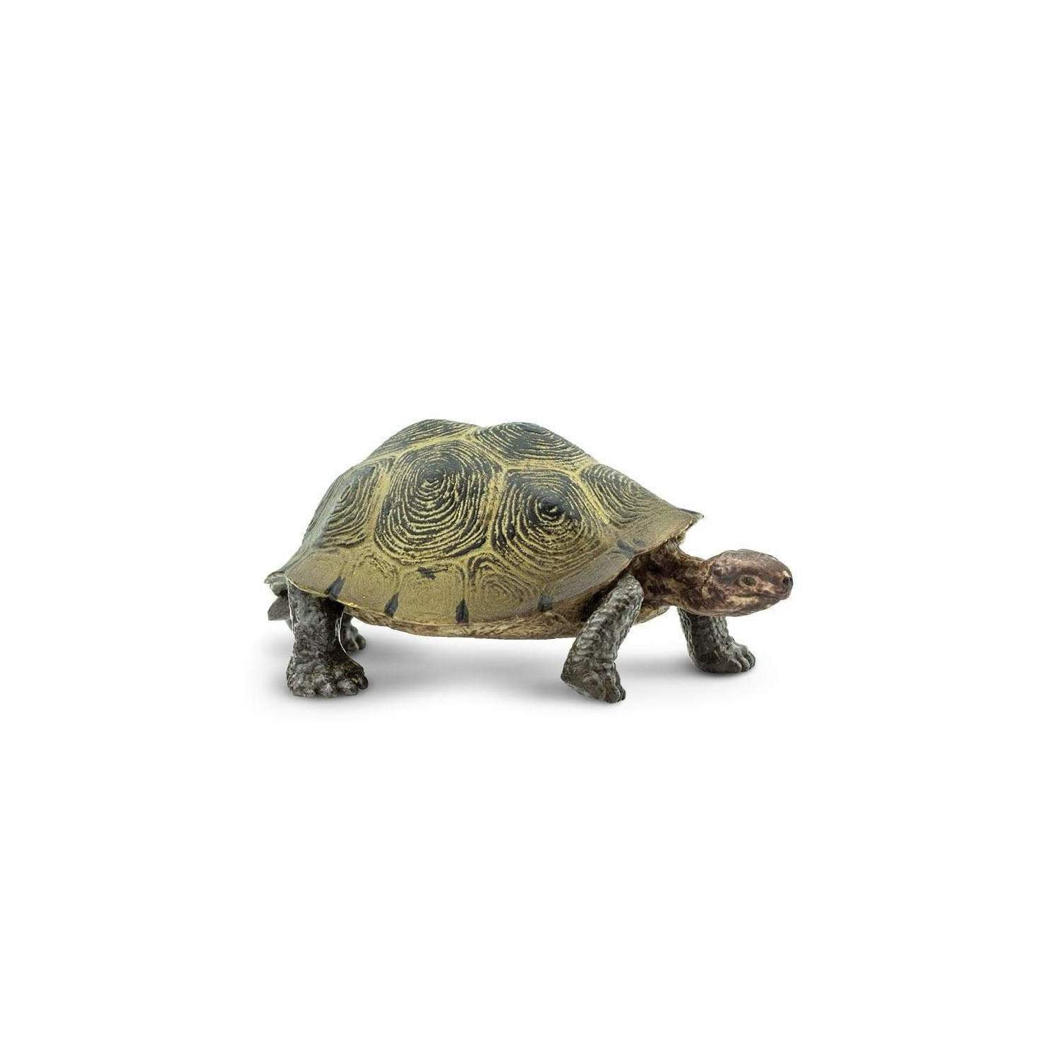 Safari Ltd. Desert Tortoise Figurine - Lifelike 3.25" Wildlife Figure ...