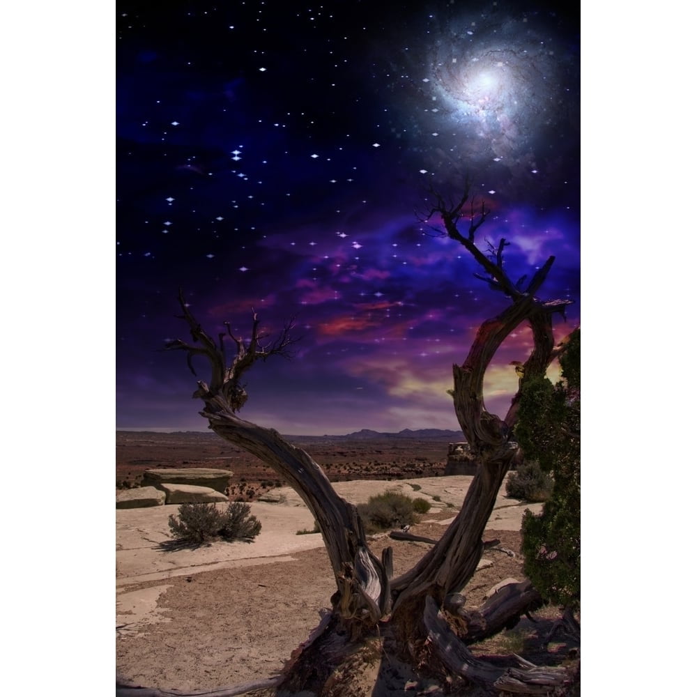 Desert Tree and Horizon. Galaxy in vivid sky Poster Print by Bruce ...