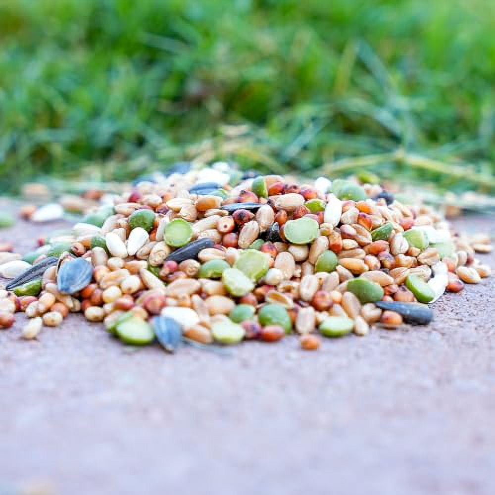 Desert Valley Premium Whole Grain Scratch Feed- Non GMO - Nutritious ...