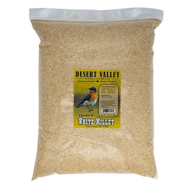 Desert Valley White FEV6 Millet Seed, All Natural, Non-GMO Premium Wild ...
