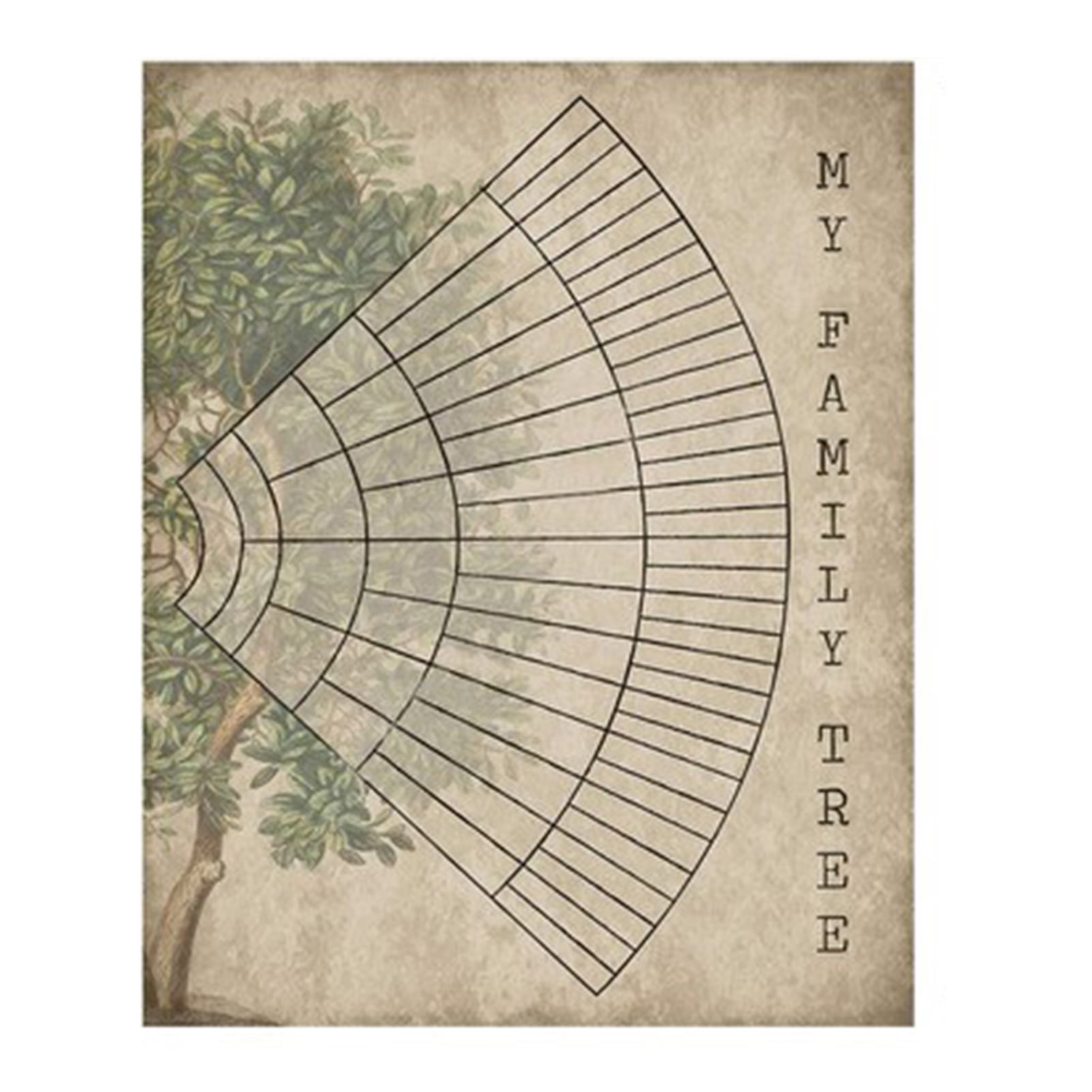 Desheus Family Tree Diagram Empty Poster Unique Gift for All Occasions ...