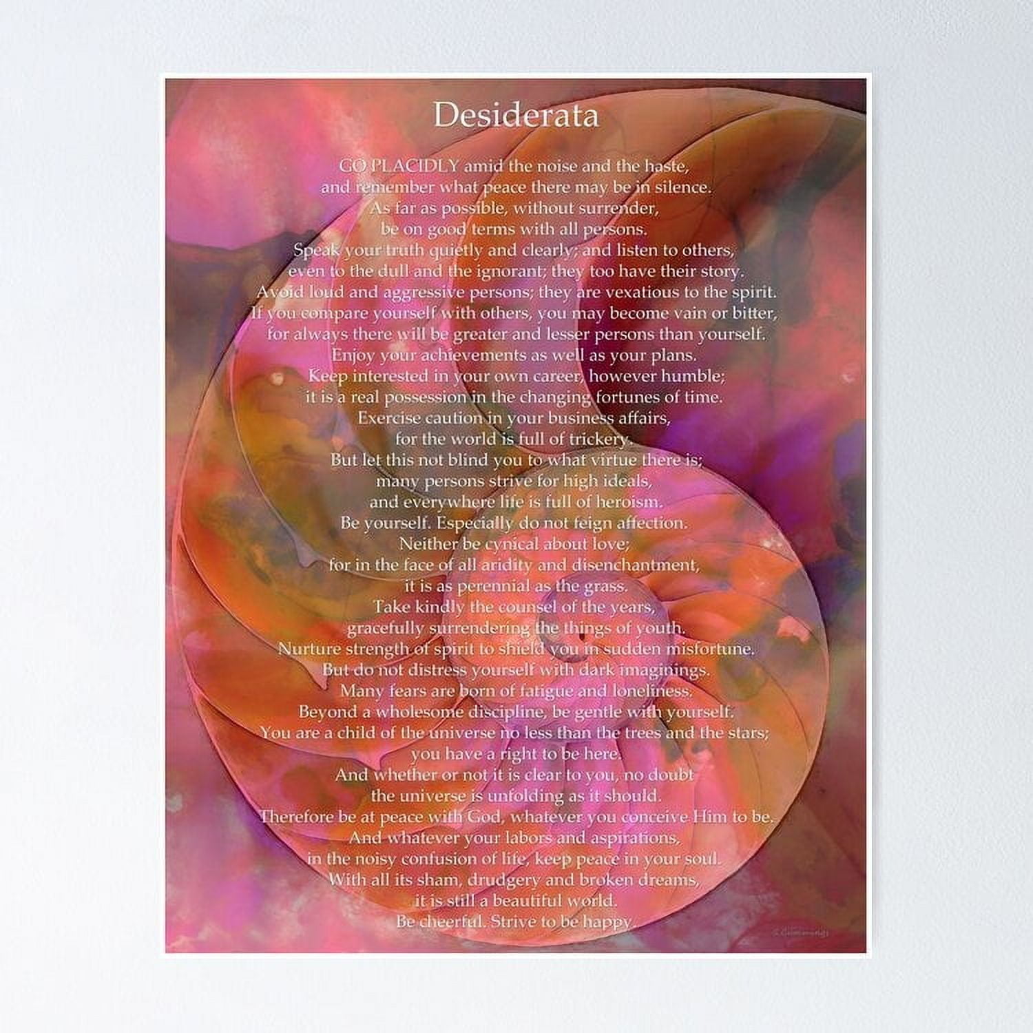 Desiderata Pink and Orange Nautilus Shell Art - By Sharon Cummings ...
