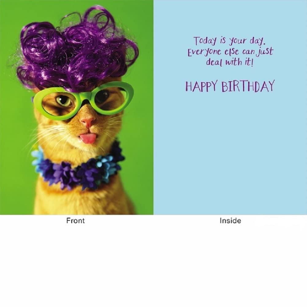 Design Design Crazy Birthday Cat Card - Her - Walmart.com