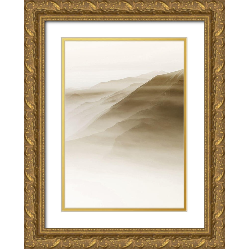 Design Fabrikken 18x24 Gold Ornate Wood Framed with Double Matting ...