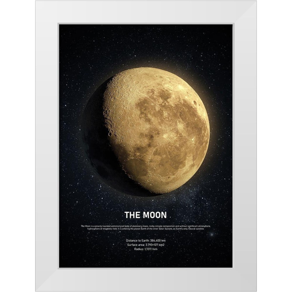 Design Fabrikken 18x24 White Modern Wood Framed Museum Art Print Titled ...