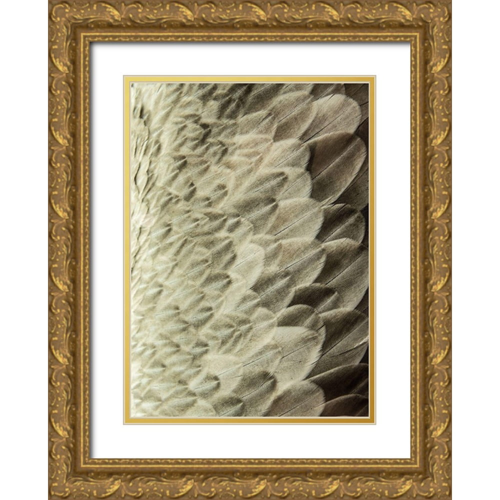 Design Fabrikken 24x32 Gold Ornate Wood Framed with Double Matting ...