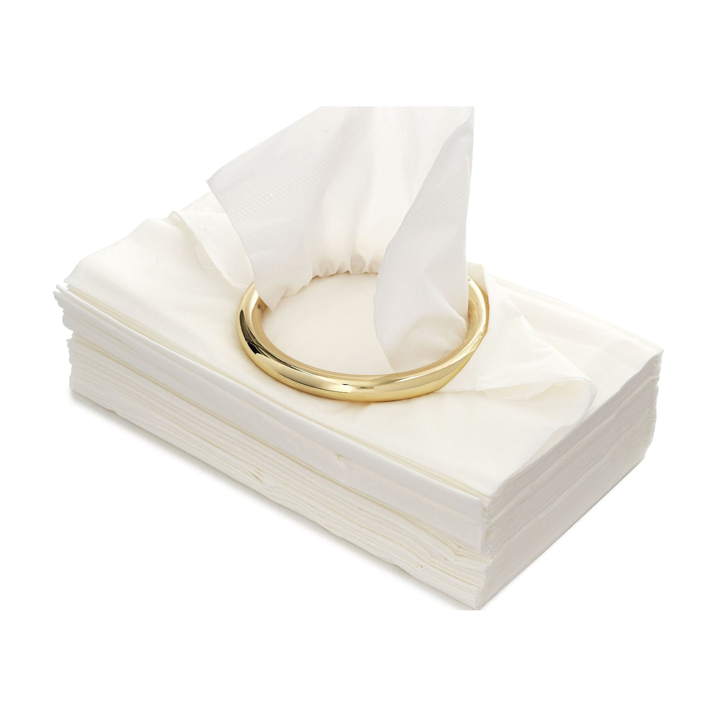 Design Ideas Toro Tissue Ring, 4" Diameter Stainless Steel Kleenex ...