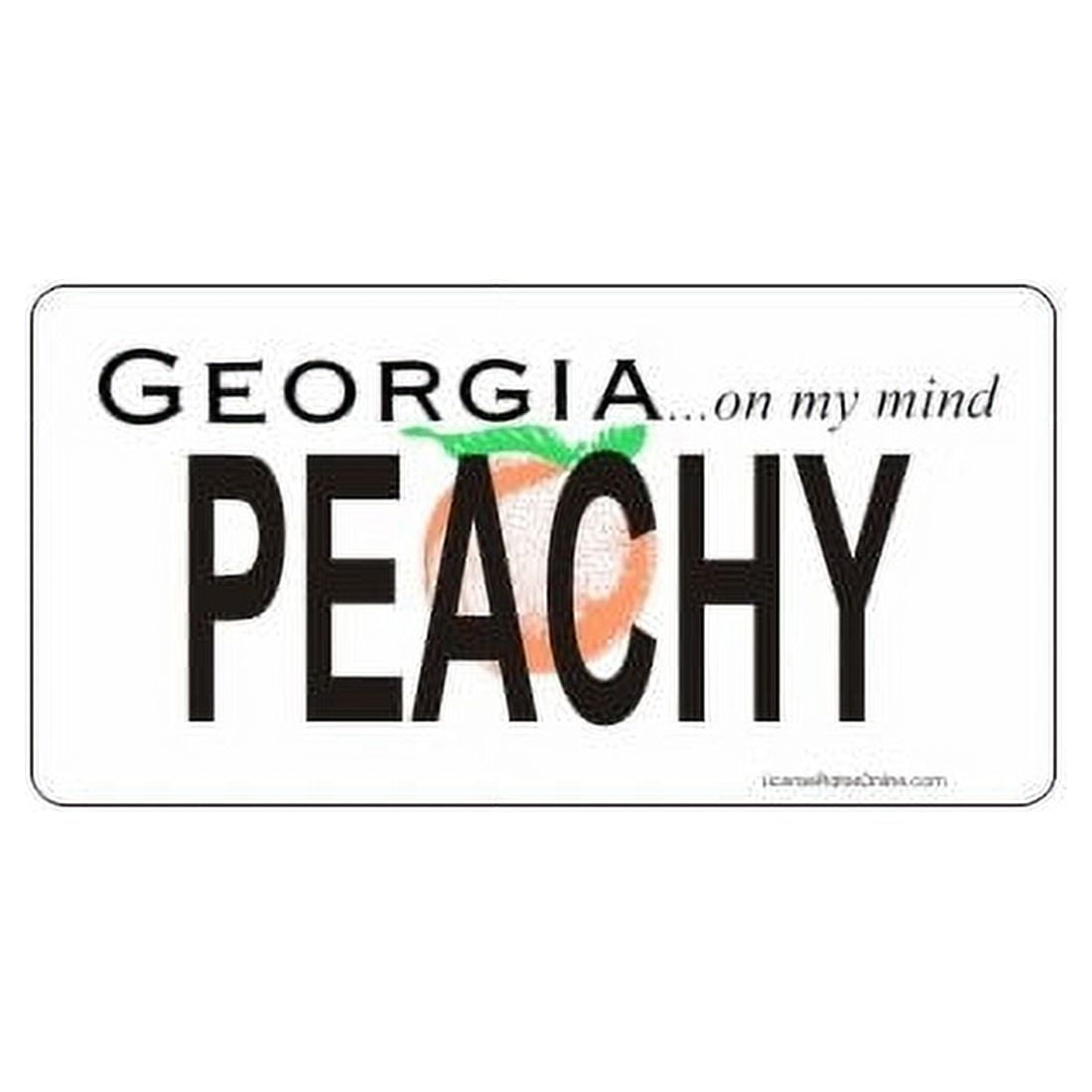 Design It Yourself Custom Georgia Plate. Free Personalization on Plate ...
