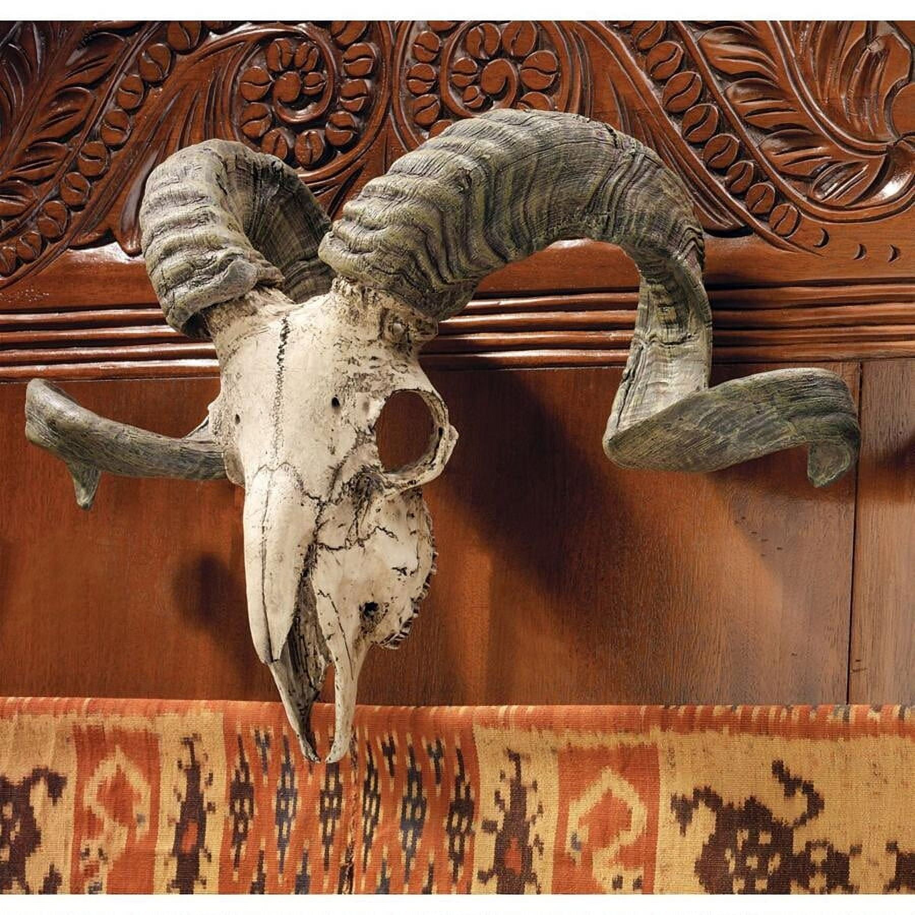Design Toscano Corsican Ram Skull and Horns Wall Trophy - Walmart.com