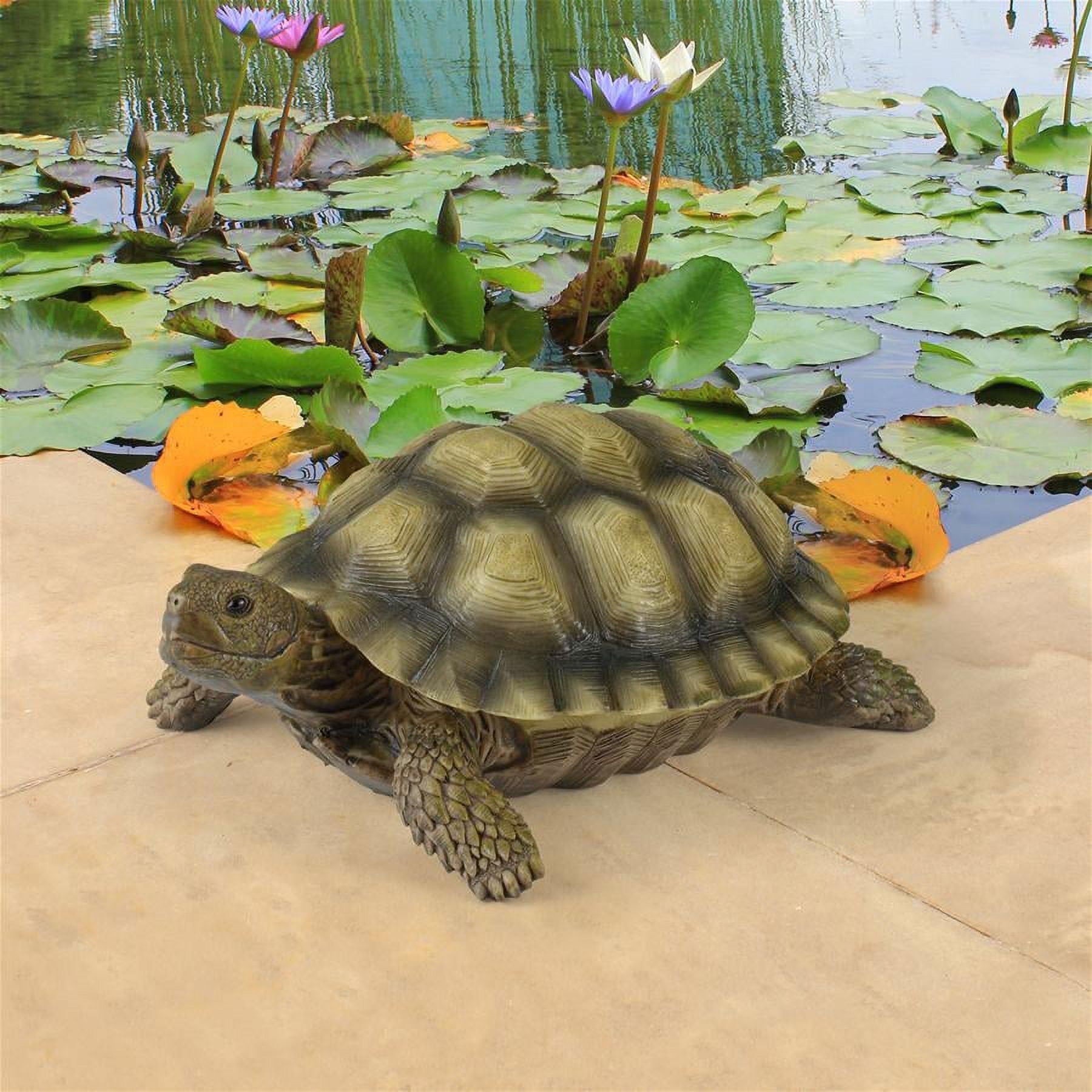 Design Toscano Gilbert, The Box Turtle Statue - Walmart.com