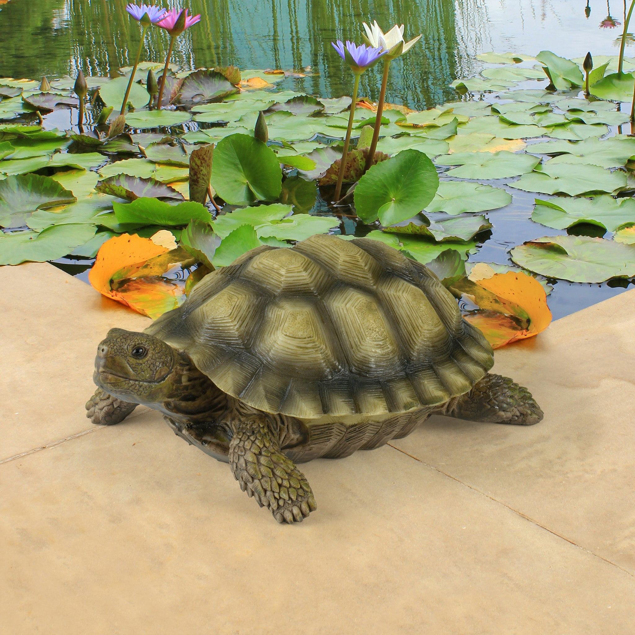 Design Toscano Large Outdoor Garden Box Turtle Statue, Gilbert ...