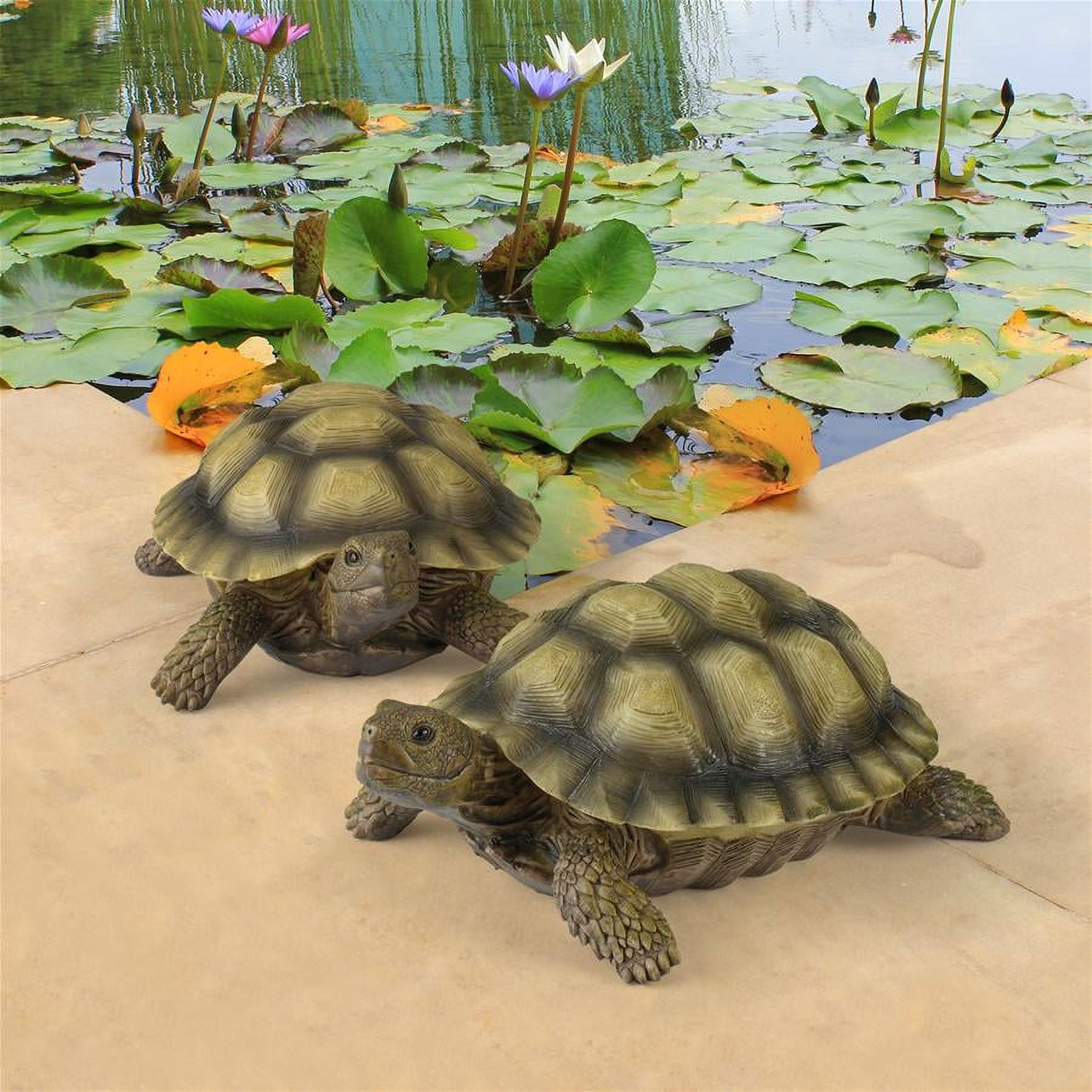 Design Toscano Gilbert The Box Turtle Statues Set of Two - Walmart.com