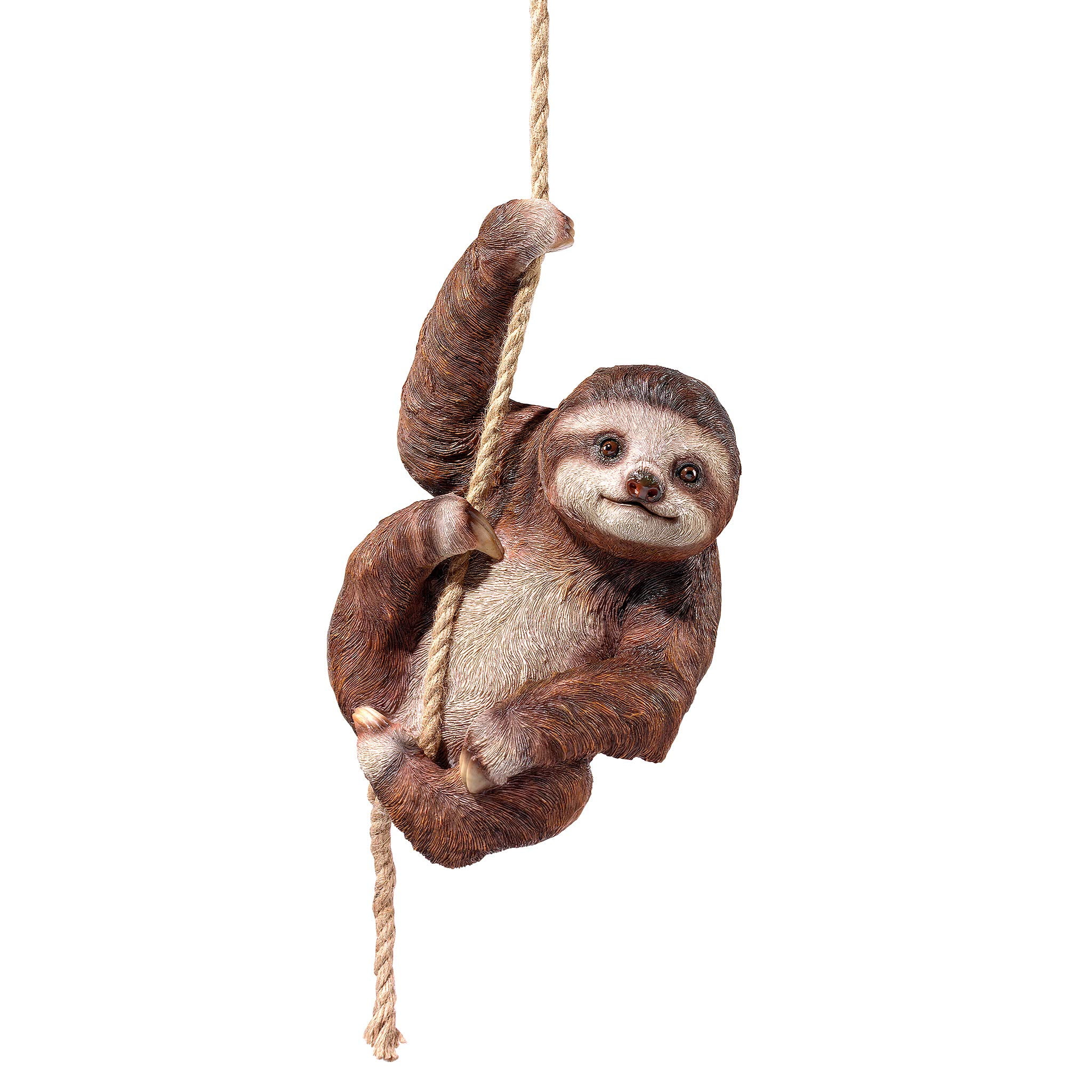 Design Toscano Hanging Horatio The 3-Toed Sloth Statue C42 - Walmart.com
