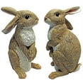 Design Toscano Hopper, the Bunny, Standing Garden Rabbit Statue: Set of ...