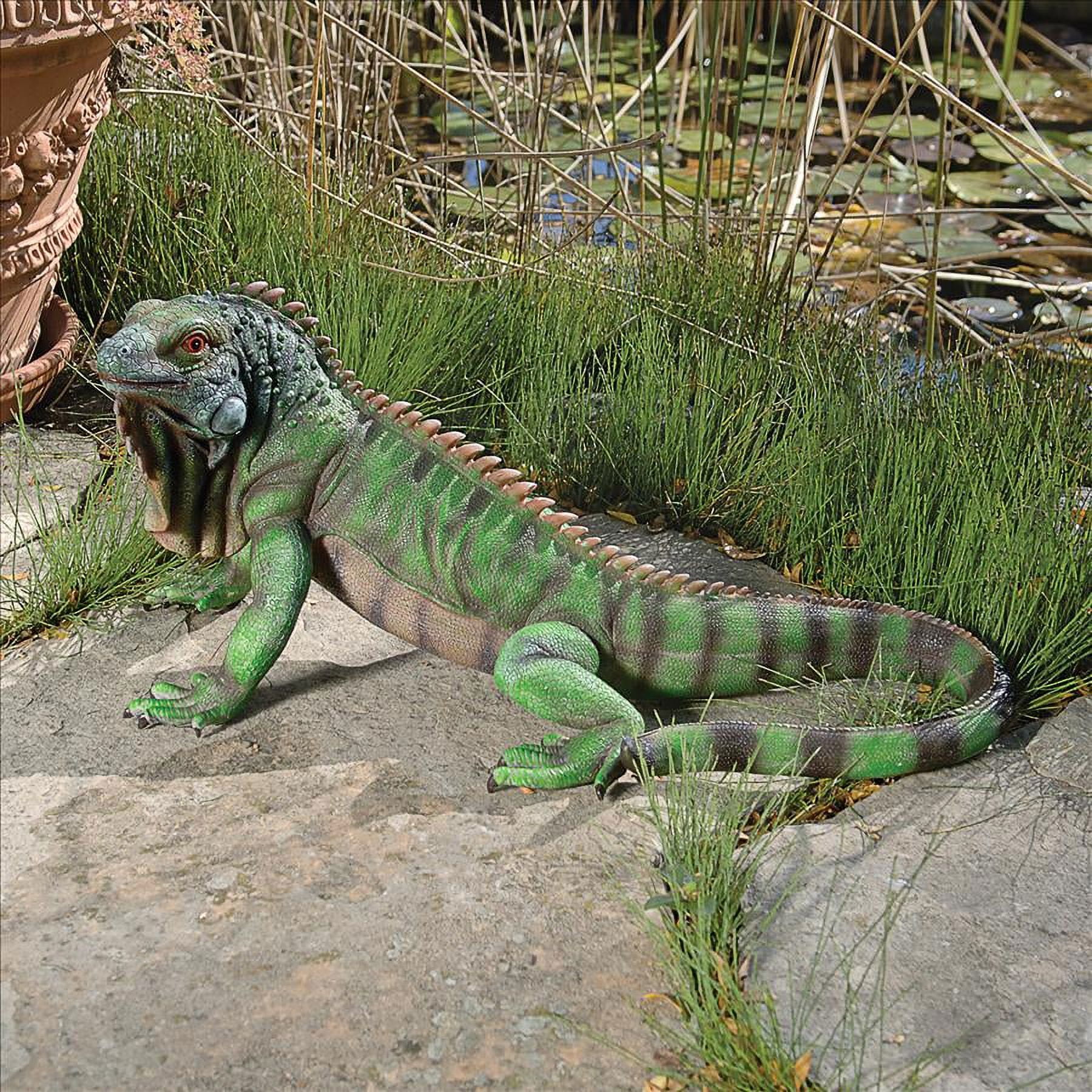 Design Toscano Iggy the Iguana Statue - Walmart.com