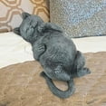 Design Toscano Playful Cat on Back Statue - Walmart.com