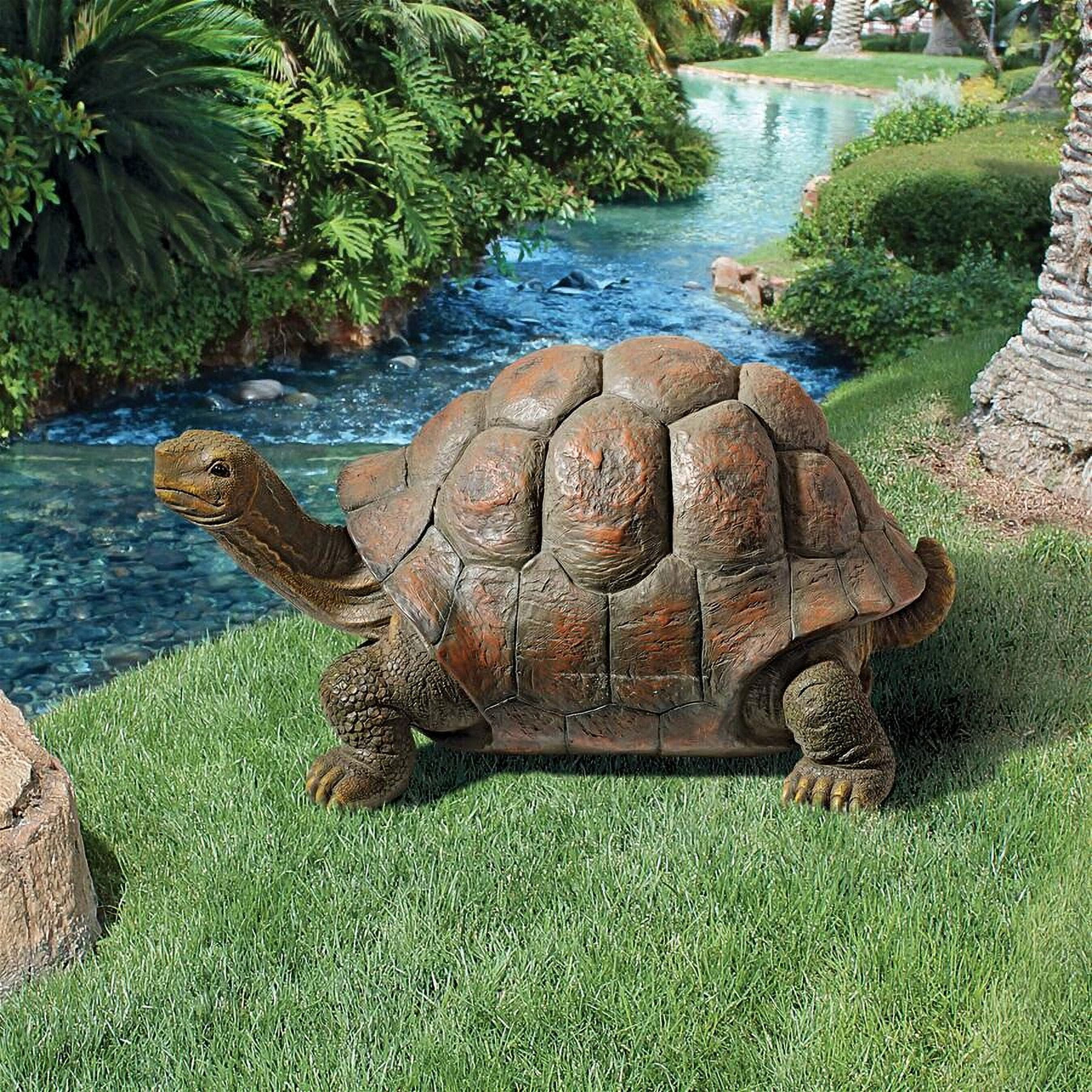 Design Toscano The Cagey Tortoise Statue: Medium - Walmart.com