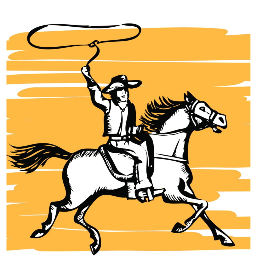 Design With Vinyl Artwork Western Rodeo Cowgirl Roping Steer Wall Decal ...