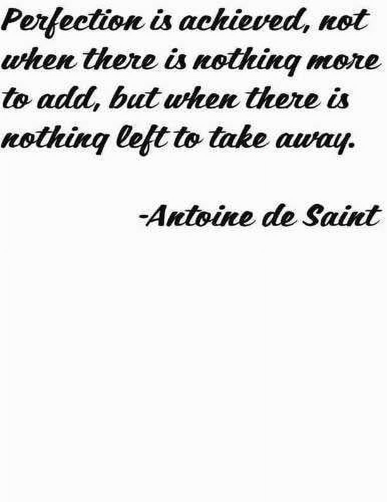 Design With Vinyl Perfection Is Achieved, Not When There Artwork Nothing More To Add, But When ...