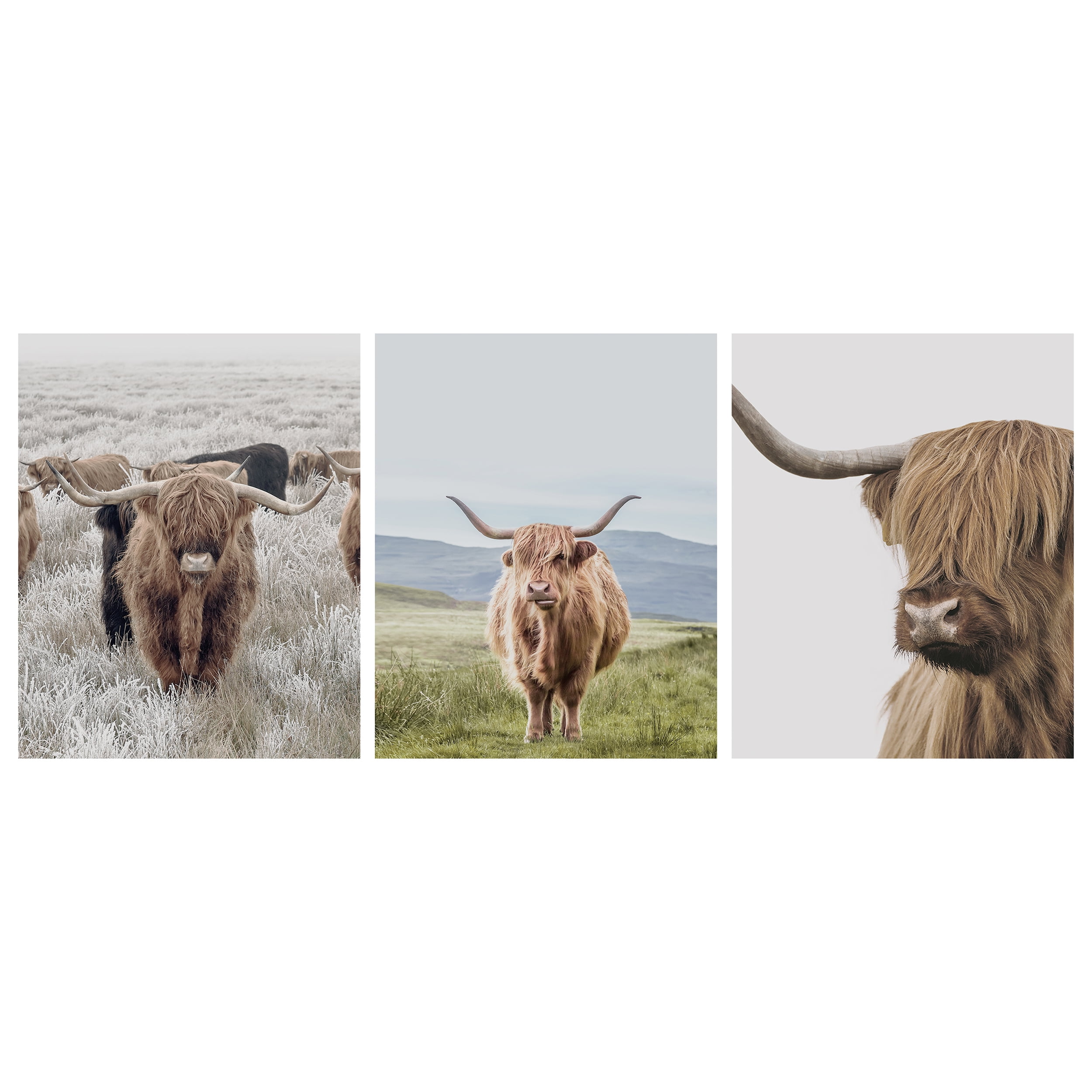 DesignOvation Highland Cow Art Prints 8x10 Set of 3 Rustic Wall Decor by The Creative Bunch ...