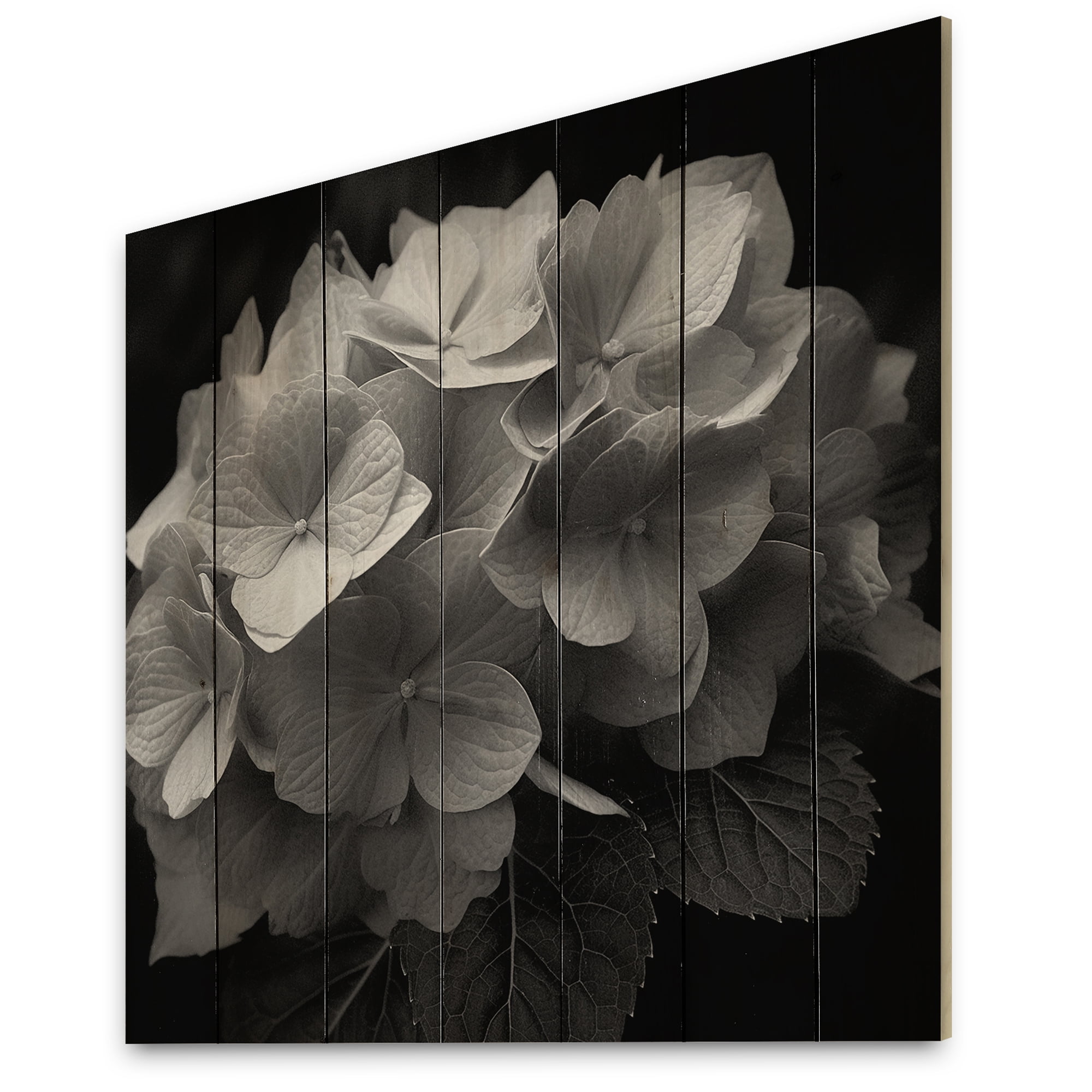 Designart "A Grey and White Hydrangea Blossom III" Floral Print on ...