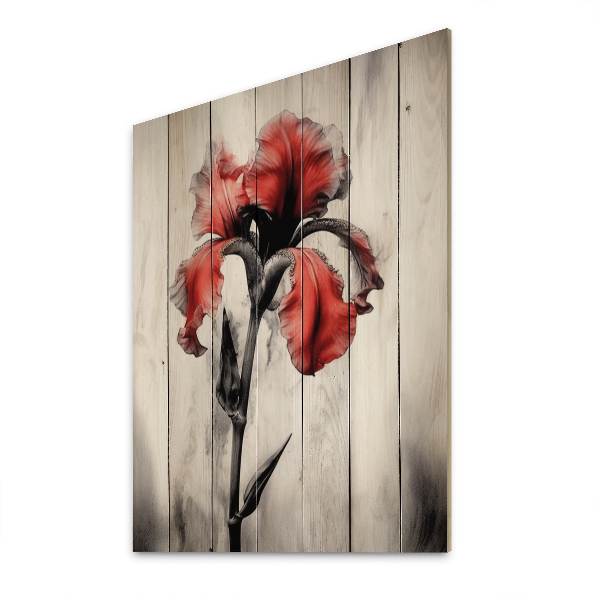 Designart "A Striking Petal of Red and Black Iris I" Floral Print on ...