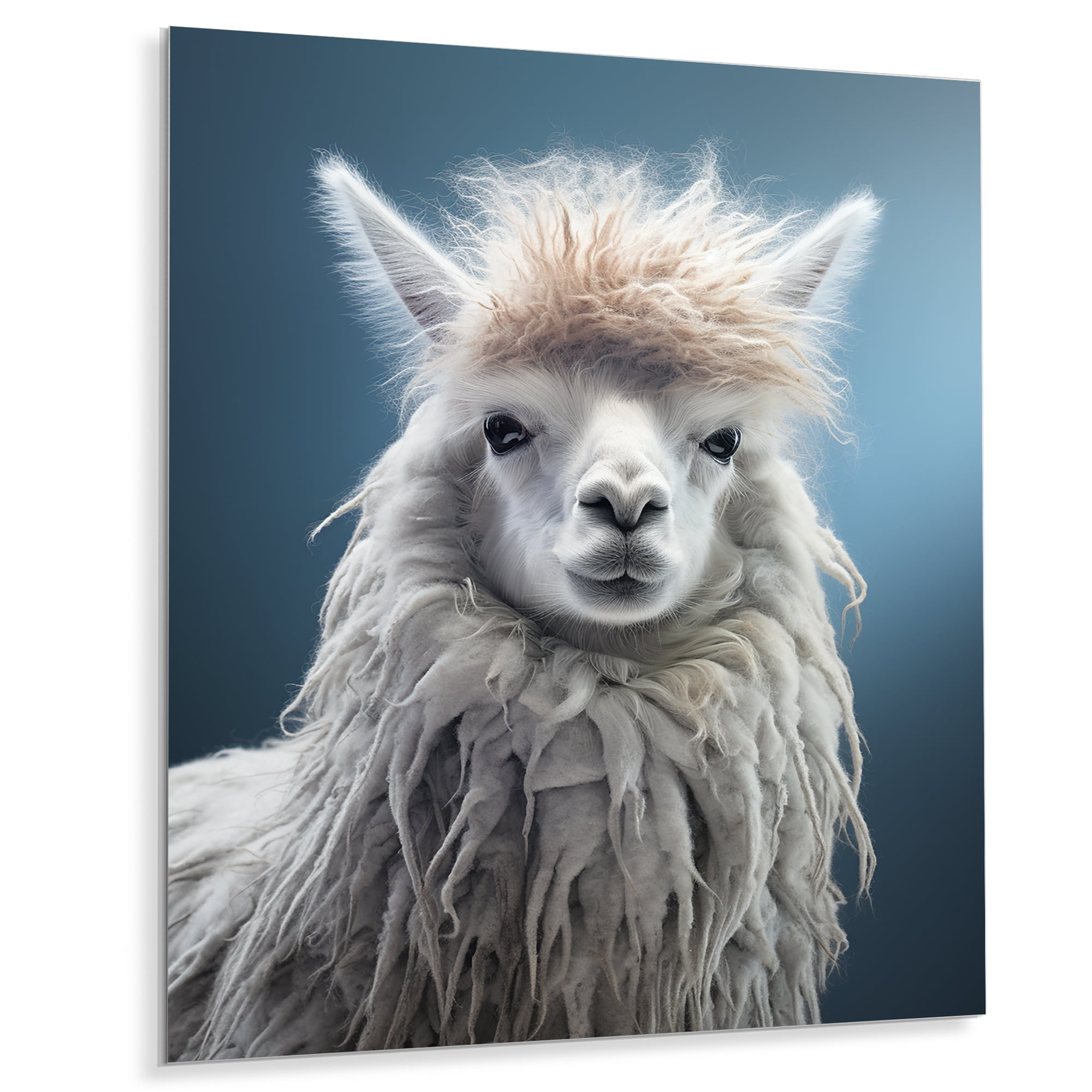 Designart "Alcapas I" Alpacas Metal Wall Decor - Walmart.com