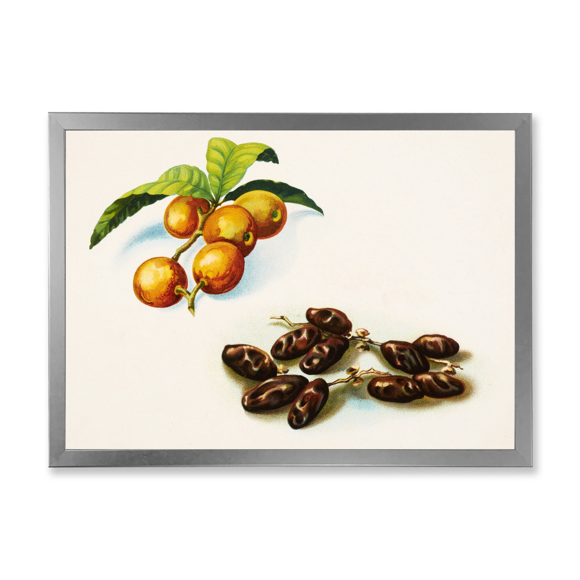Designart 'Ancient Fruits IV' Farmhouse Framed Art Print - Walmart ...