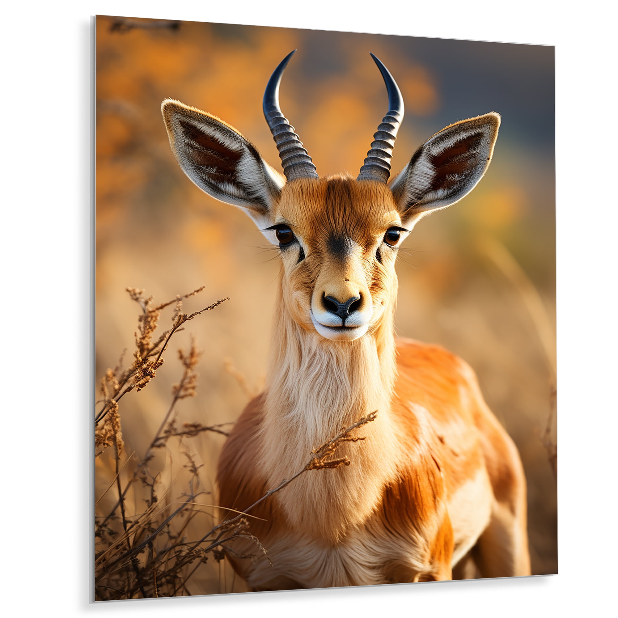 Designart "Antelope Photo Animal I" Animals Metal Wall Art Prints ...