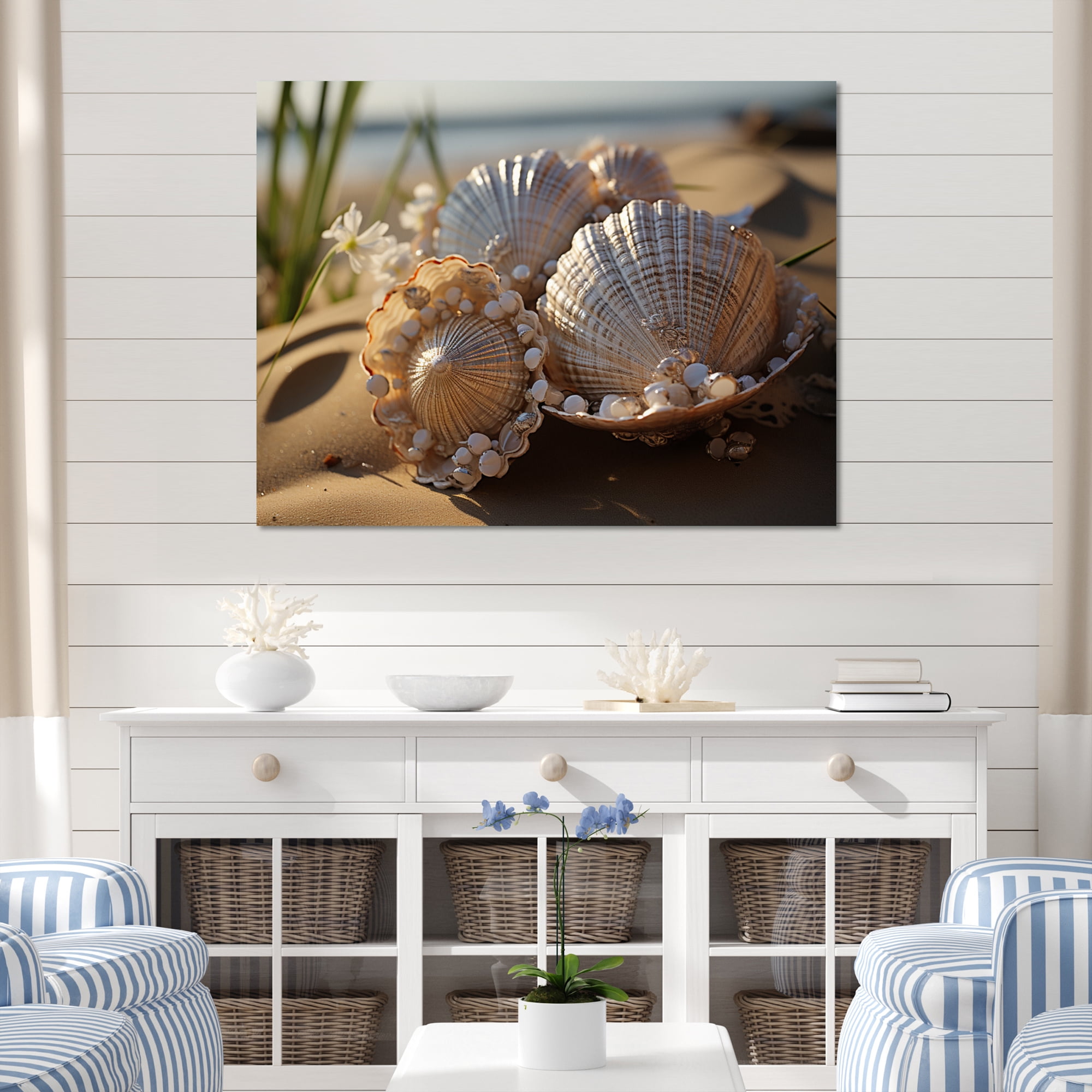 Designart "Beach Photo Seashell composition III" Nautical & Beach Wall ...