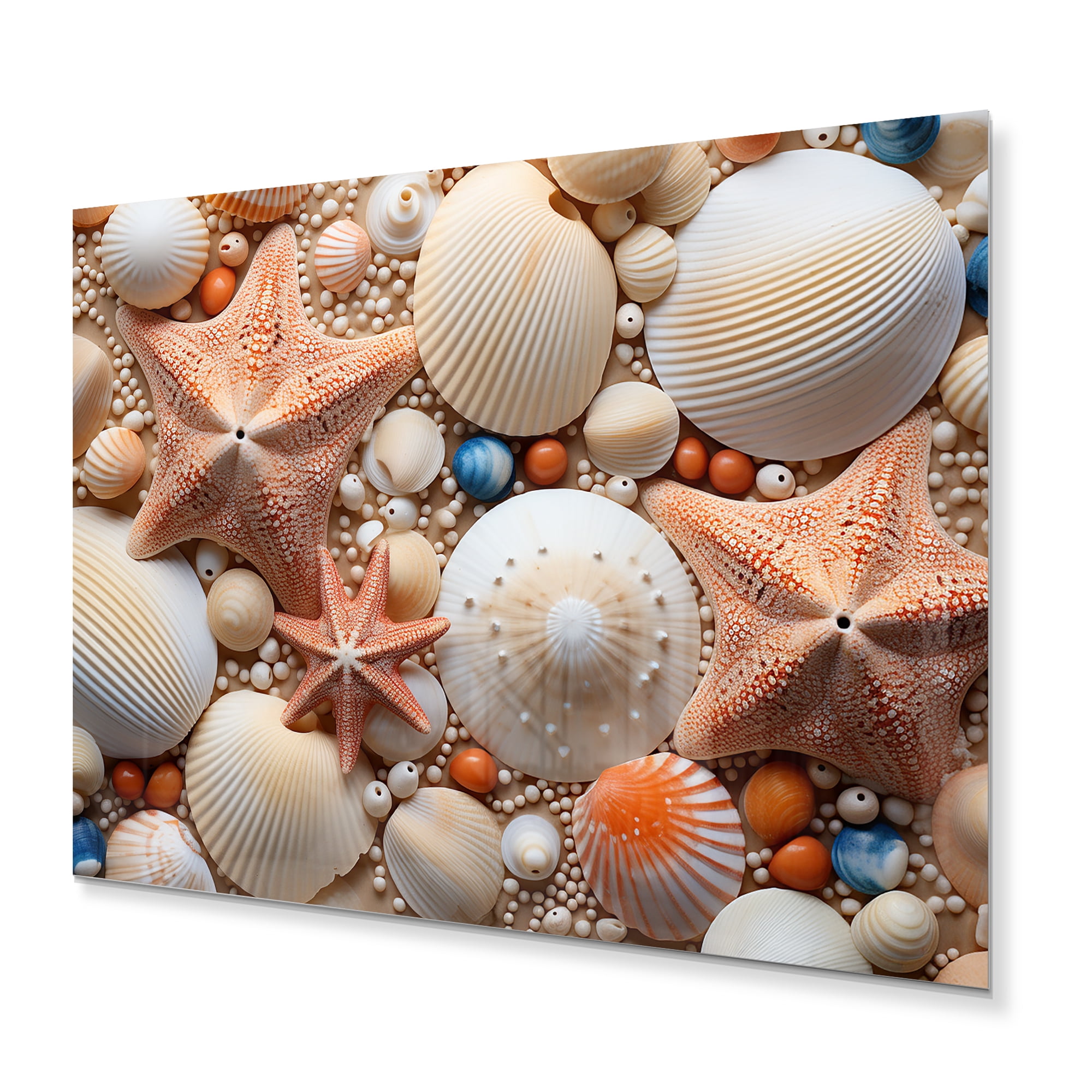 Designart "Beach Photo Seashell composition VI" Nautical & Beach Metal ...