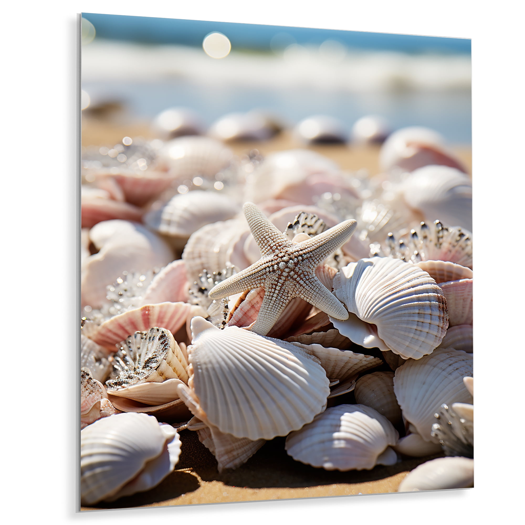 Designart "Beach Photo Seashell composition X" Animals Metal Wall Art ...