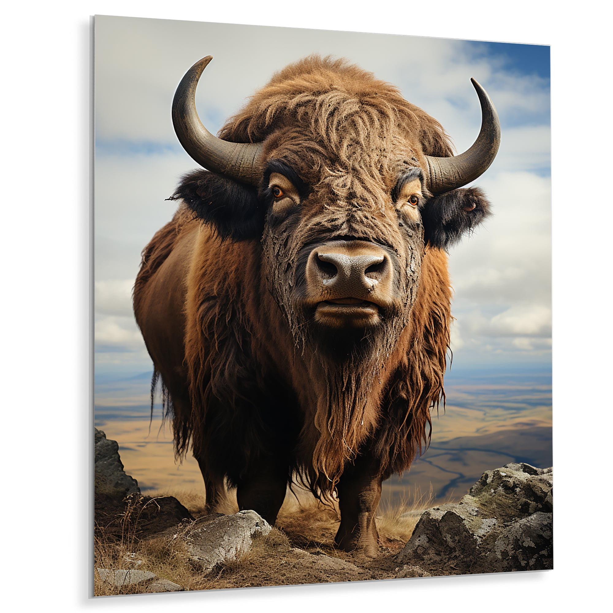 Designart "Bison Unrestrained and Wild" Animals Metal Art Print ...